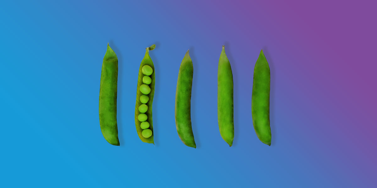 How your super is invested | Mercer Super Australia